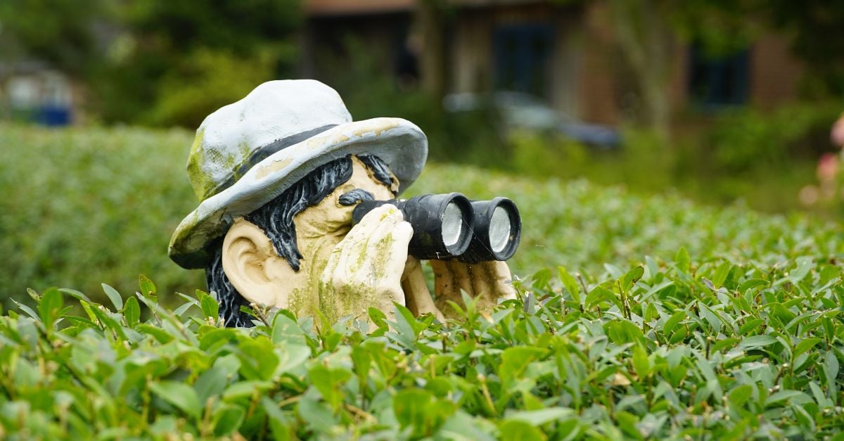 How to Use the Facebook Ad Library to Improve Your Ads | WordStream